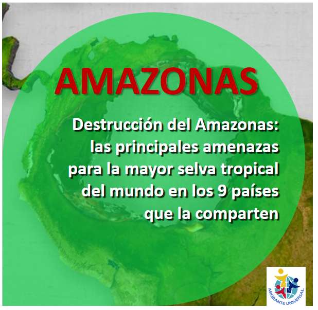 Destrucción del Amazonas: las principales amenazas para la mayor selva ...