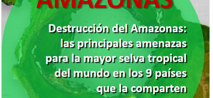 Destrucción del Amazonas: las principales amenazas para la mayor selva ...